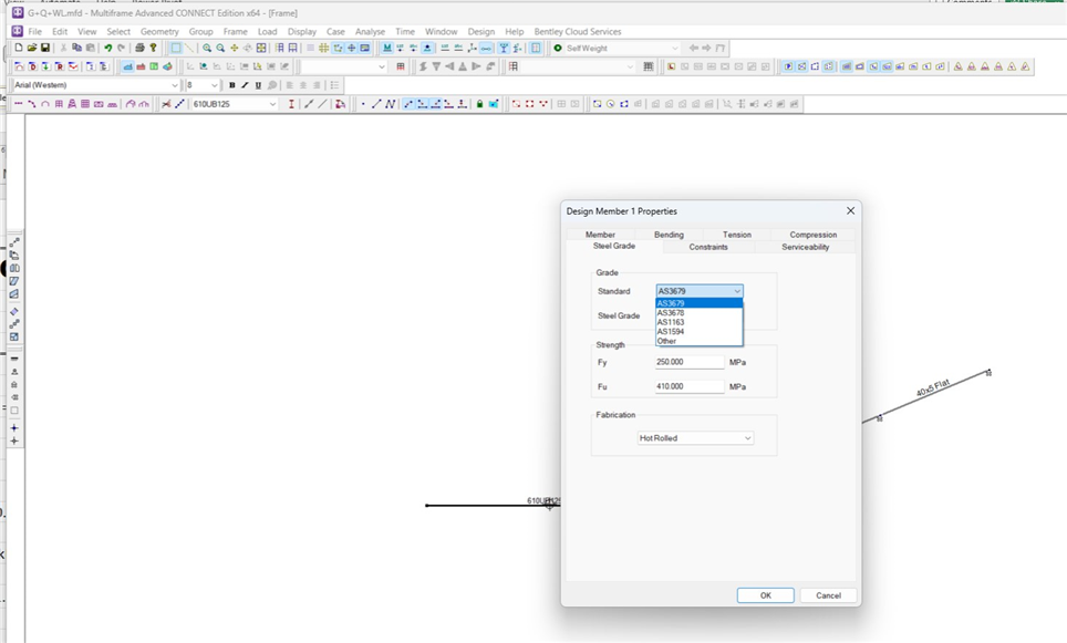 MAXSURF | MOSES | SACS - Multiframe - Australian Design Code - Communities