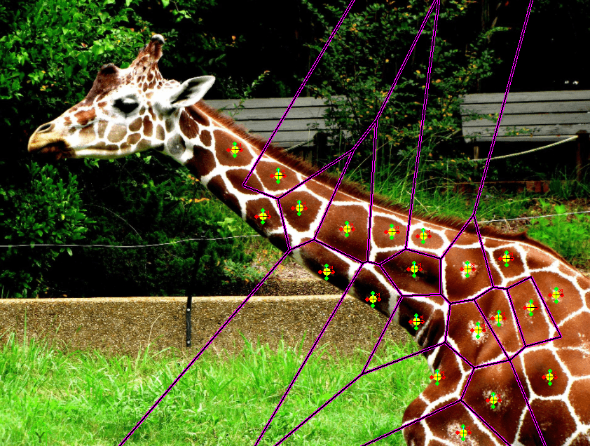 GenerativeComponents Knowledge Base - Voronoi Diagram in ...